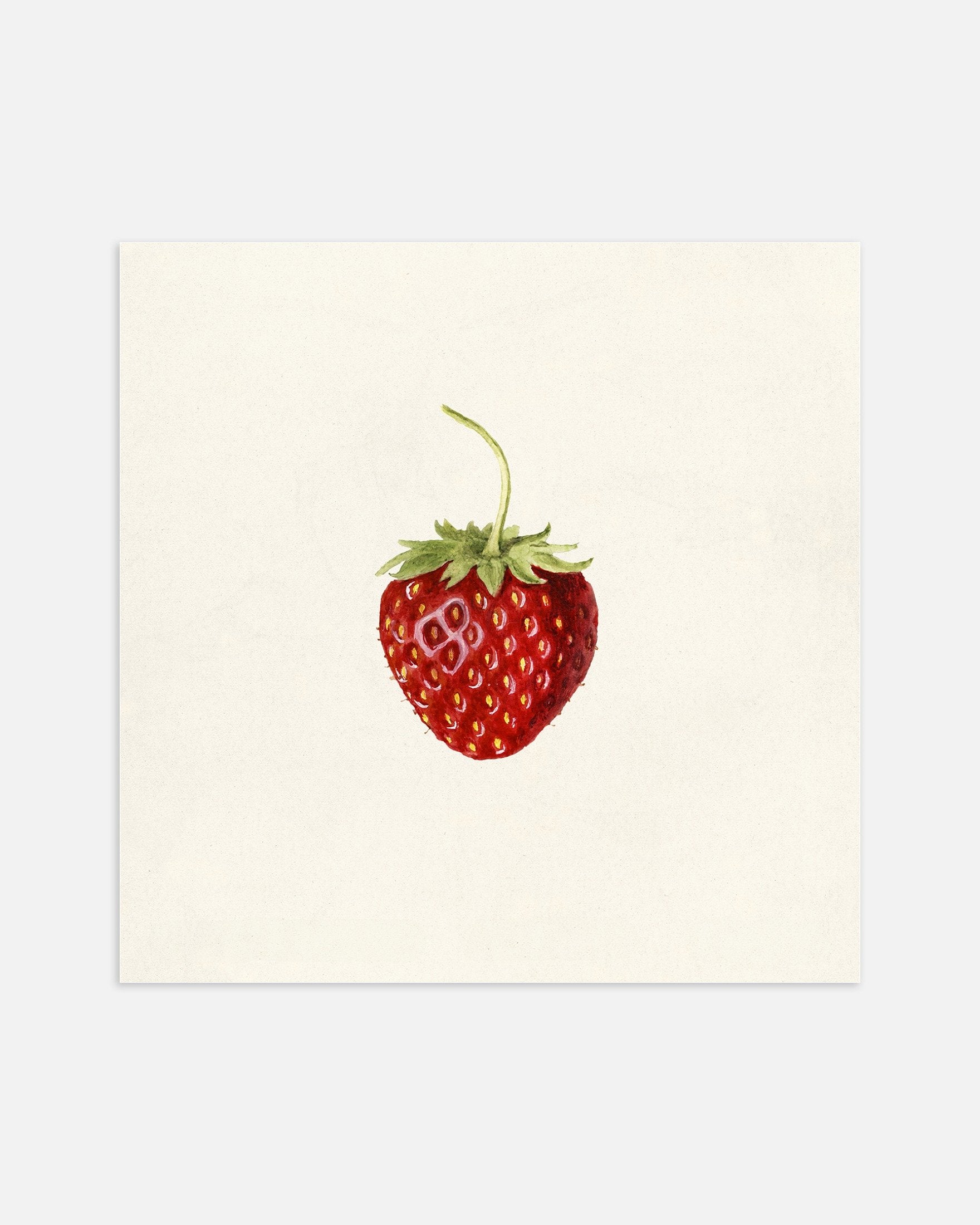 Vintage Strawberry Botanical Print | Watercolor Fruit - Posterscape